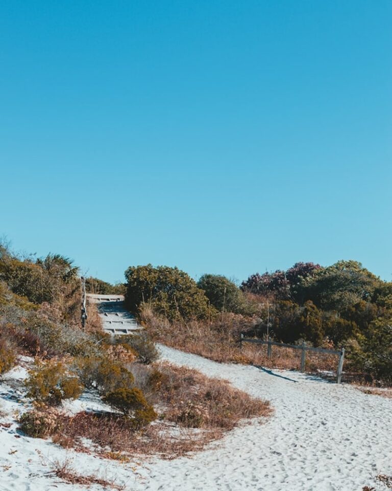 Gulf Coast Adventures | Henderson Beach State Park